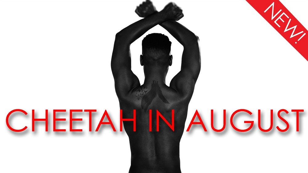 Now Available: Cheetah in August – Discover great gay stories.